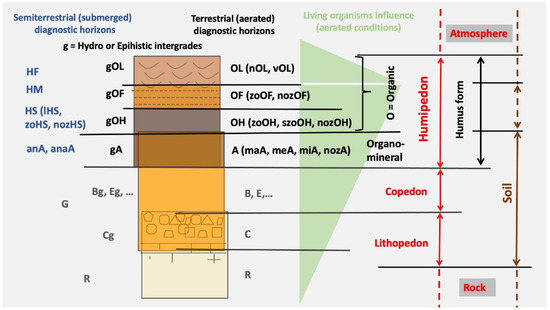 Soil Systems | An Open Access Journal from MDPI