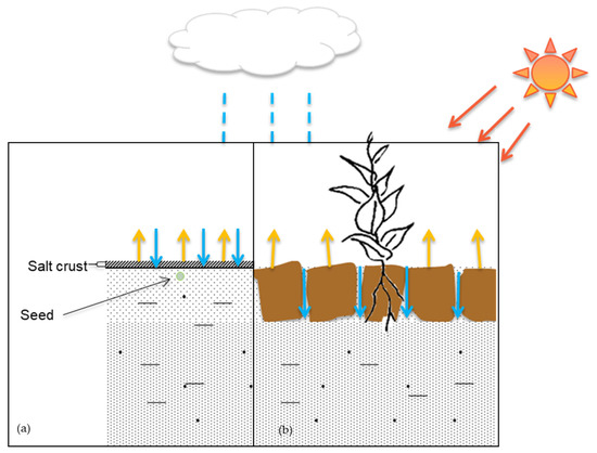 Reclamation of Salt-Affected Land: A Review