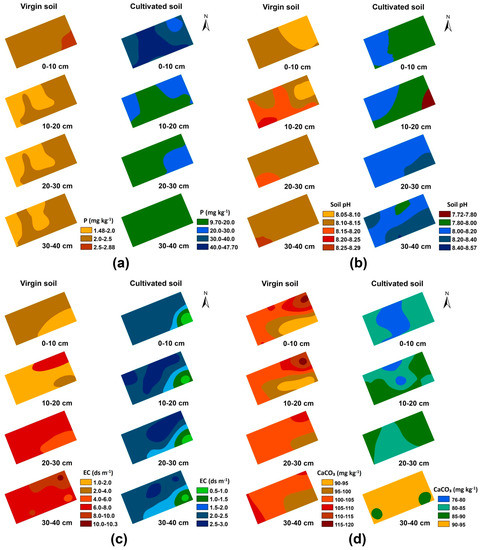 Soil Systems | An Open Access Journal from MDPI