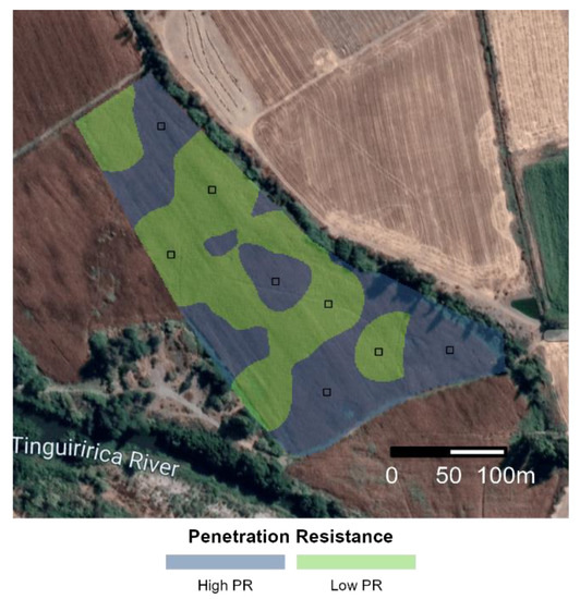 Soil Systems | Free Full-Text | Variability of Hydraulic Properties and ...