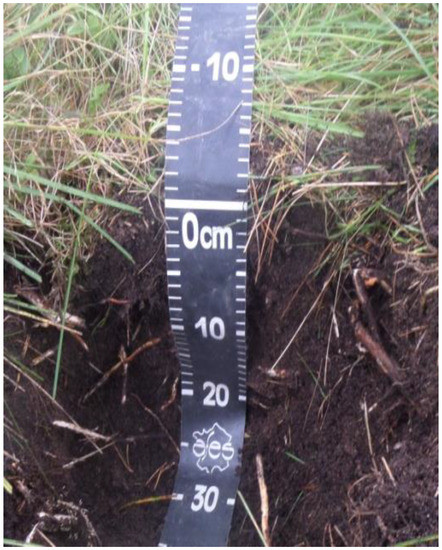 Soil Diversity of the Island of Gogland in the Gulf of Finland: History ...