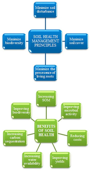 Conservation Agriculture as a Sustainable System for Soil Health: A Review