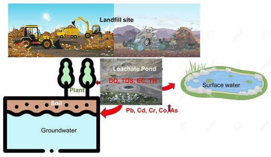 Soil Systems | Free Full-Text | Impacts of Landfill Leachate on the ...