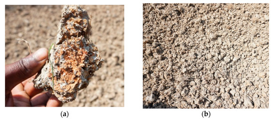 Problems, Management, and Prospects of Acid Sulphate Soils in the ...