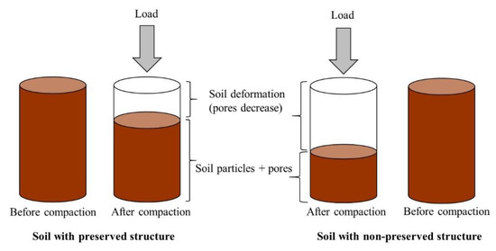 Soil Systems | Free Full-Text | Soil Structure under Forest and Pasture ...