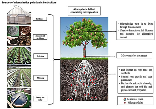 Assessment of Microplastics Pollution on Soil Health and Eco ...