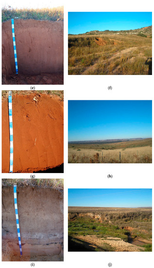 Challenges in the Management of Environmentally Fragile Sandy Soils in ...