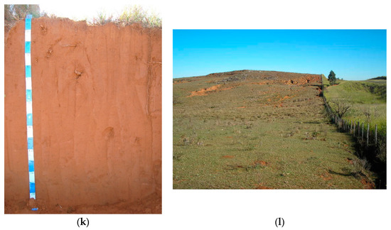 Challenges in the Management of Environmentally Fragile Sandy Soils in ...