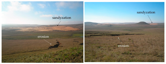 Challenges in the Management of Environmentally Fragile Sandy Soils in ...