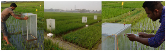 Effects of Irrigation Regimes and Rice Varieties on Methane Emissions ...