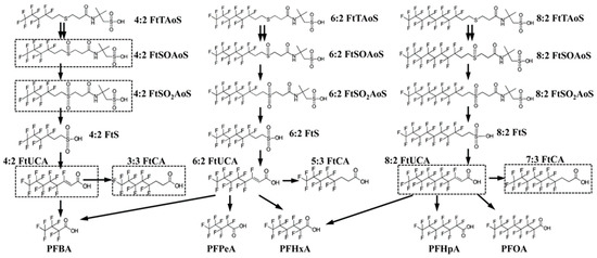Soil Systems | Free Full-Text | Fate and Transport of Per- and ...