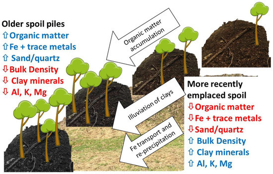 Surface Coal Mine Soils: Evidence for Chronosequence Development