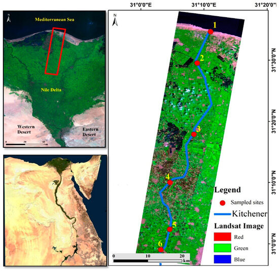 Pollution Risk Assessment of Heavy Metals along Kitchener Drain ...
