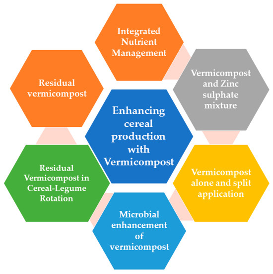 Effects of Vermicompost on Soil and Plant Health and Promoting ...