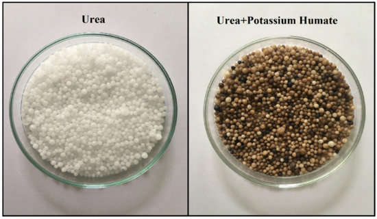 Mineral Nitrogen Release Patterns in Various Soil and Texture Types and ...