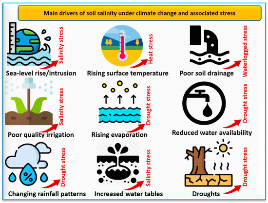 Soil Systems | Free Full-Text | Review of Crop Response to Soil ...