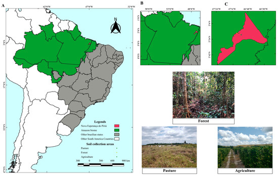Effects of Agricultural Expansion on Soil Carbon and Nitrogen Stocks in ...