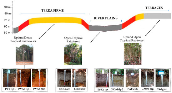 Carbon and Nitrogen Stocks and Soil Organic Matter Persistence under ...