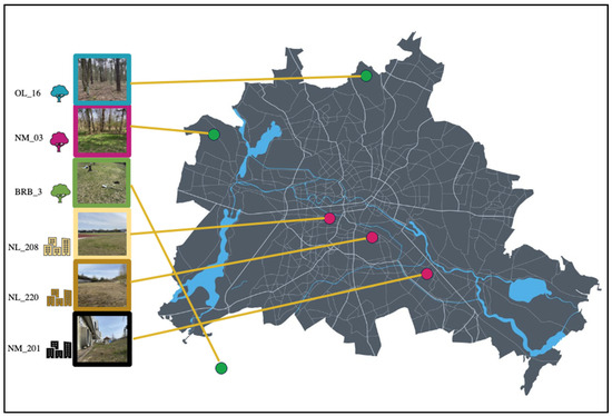Combined Application of Multiple Global Change Factors Negatively ...