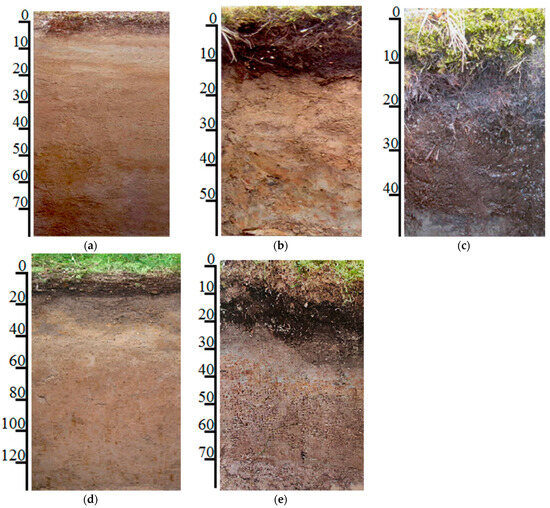 Landscape–Geochemical Assessment of Content of Potentially Toxic Trace ...