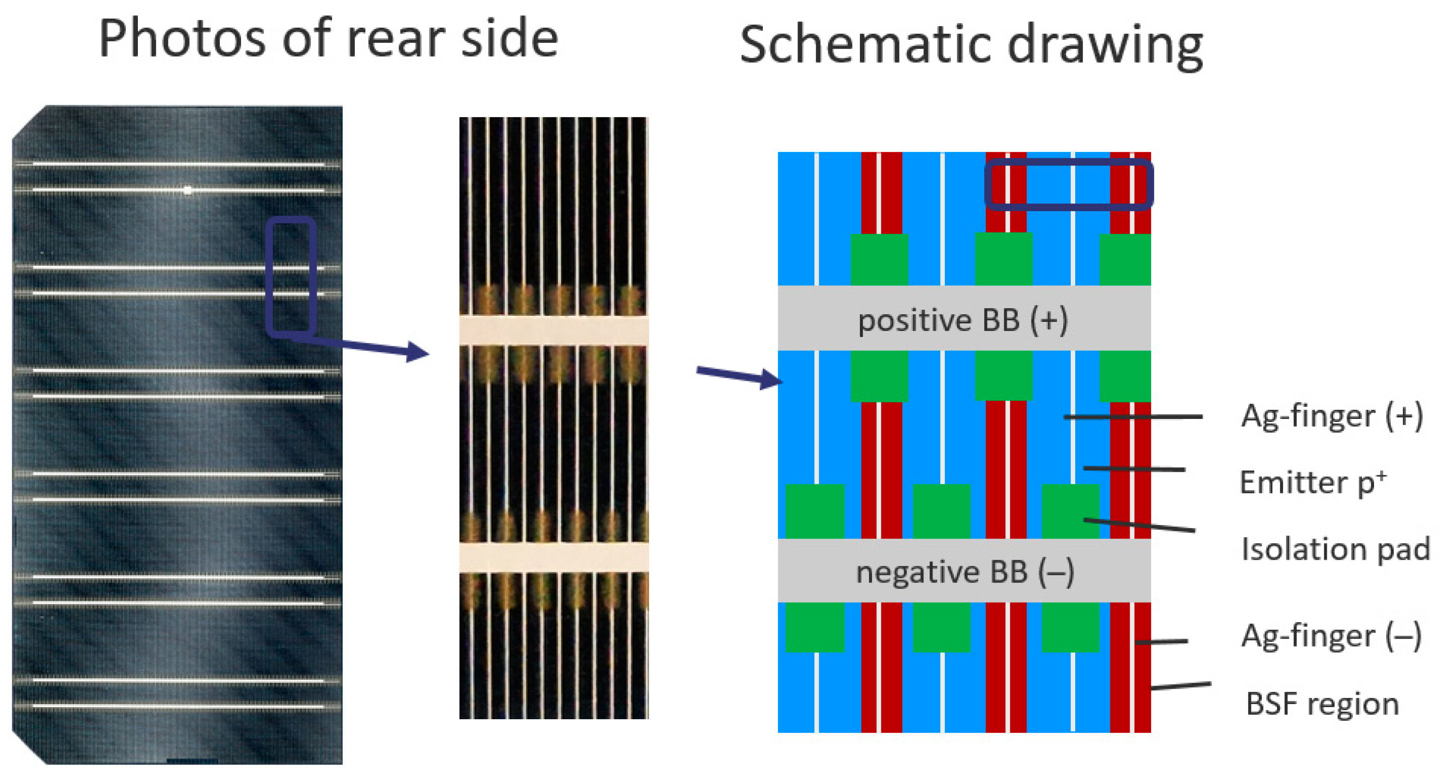 Interdigitated Back Contact Technology as Final Evolution for ...