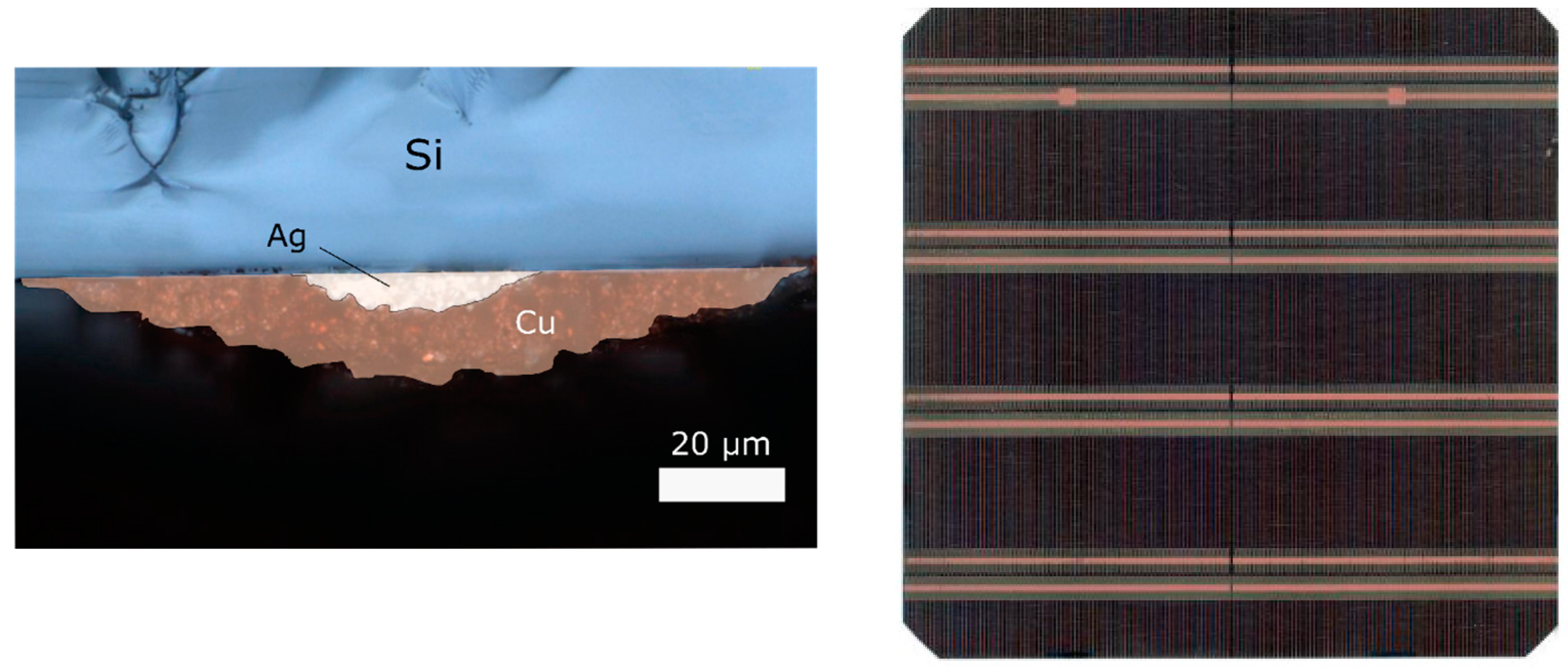 Interdigitated Back Contact Technology as Final Evolution for ...