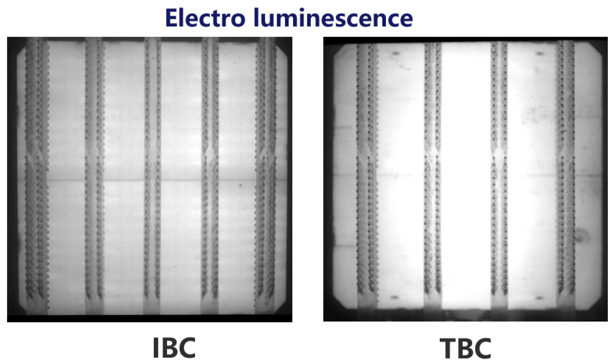 Interdigitated Back Contact Technology as Final Evolution for ...