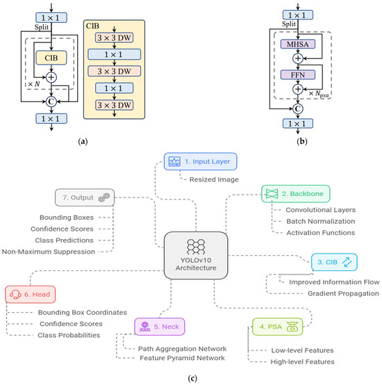 High-Precision Defect Detection in Solar Cells Using YOLOv10 Deep Learning Model