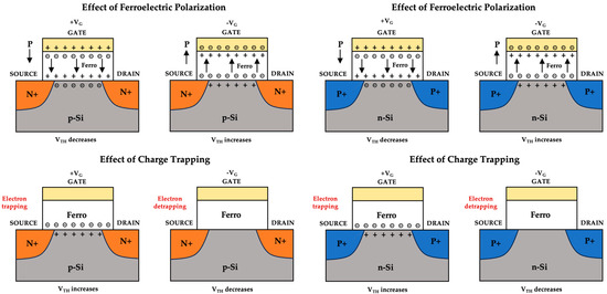 A Comparative Study of n- and p-Channel FeFETs with Ferroelectric HZO Gate Dielectric