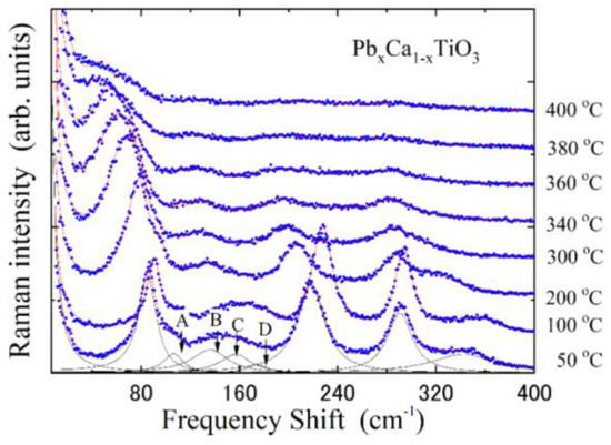 Vibrational Spectroscopy of Perovskite Ferroelectrics