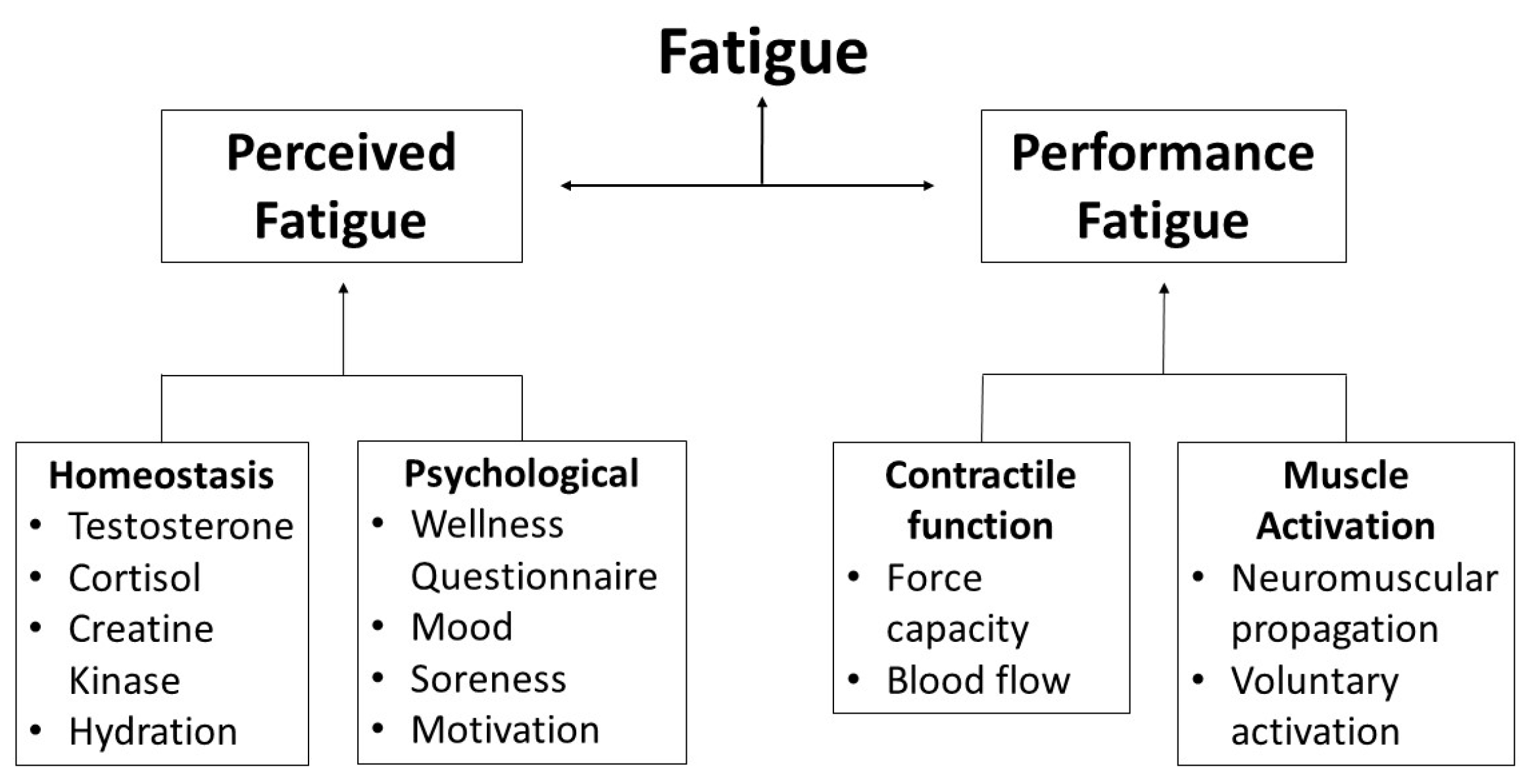 Monitoring and Managing Fatigue in Basketball
