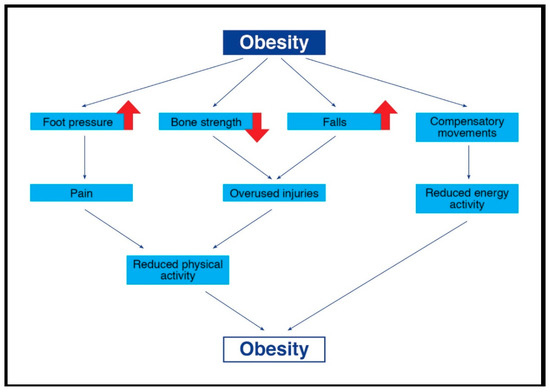 Sports | Free Full-Text | Gait Pattern, Impact to the Skeleton and ...