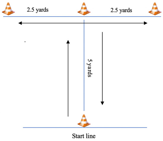 Associations between Absolute and Relative Lower Body Strength to ...