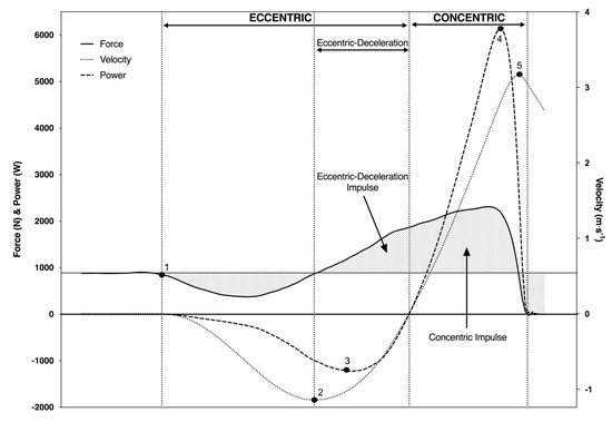 Can Countermovement Jump Neuromuscular Performance Qualities ...