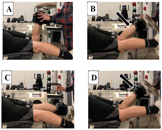 The Influence of Active Hamstring Stiffness on Markers of Isotonic ...