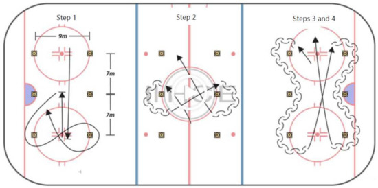 Talent Identification in Elite Adolescent Ice Hockey Players: The ...