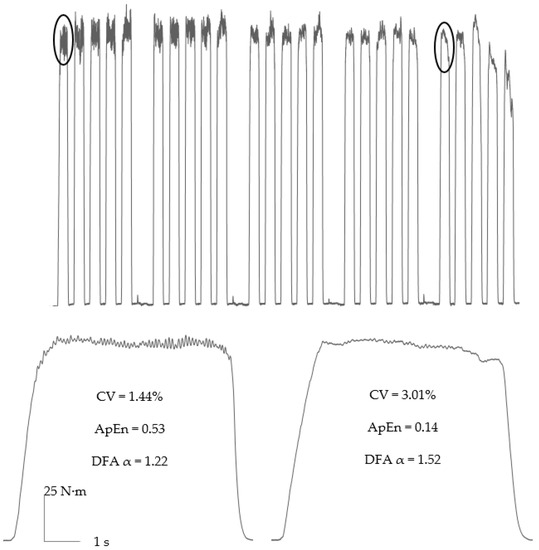 The Neuromuscular Fatigue-Induced Loss of Muscle Force Control