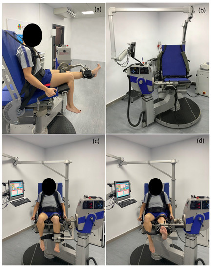 Sports | Free Full-Text | Knee Isokinetic Profiles and Reference Values ...