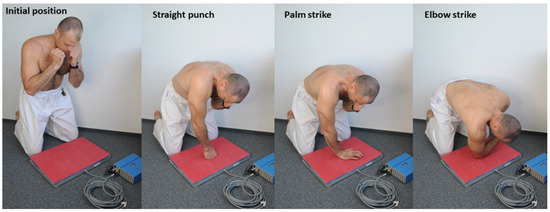 Performance Level and Strike Type during Ground and Pound Determine ...