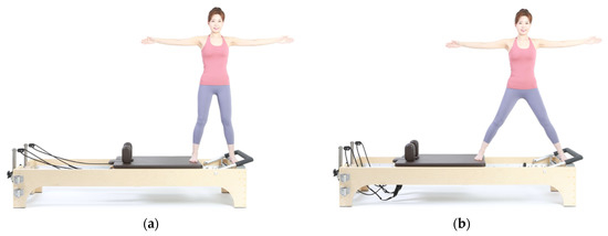 Motion Analysis of Core Stabilization Exercise in Women: Kinematics and ...