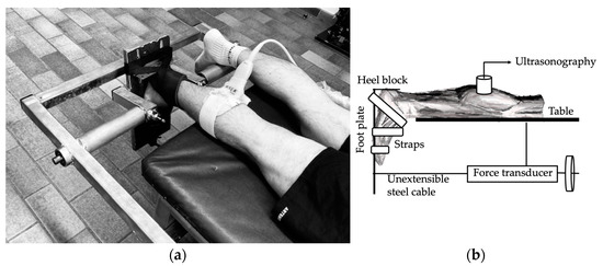 Architectural and Mechanical Changes after Five Weeks of Intermittent ...