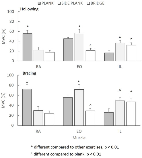 Spinal Muscle Thickness and Activation during Abdominal Hollowing and ...