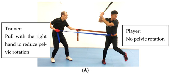 Strength and Conditioning Programs to Increase Bat Swing Velocity for ...