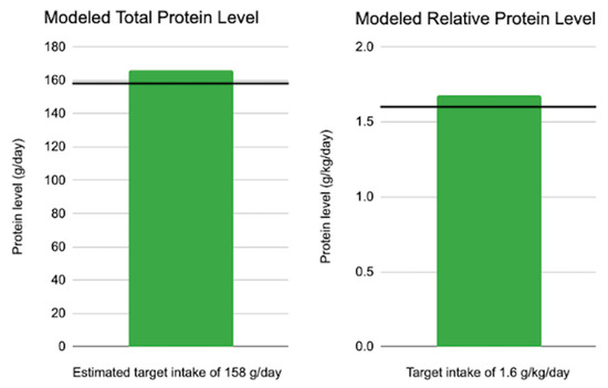 Protein and Leucine Requirements for Maximal Muscular Development and ...