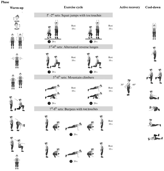 The Impact of Modified Tabata Training on Segmental Fat Accumulation ...