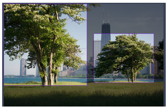 Effectiveness of YOLO Architectures in Tree Detection: Impact of Hyperparameter Tuning and SGD ...