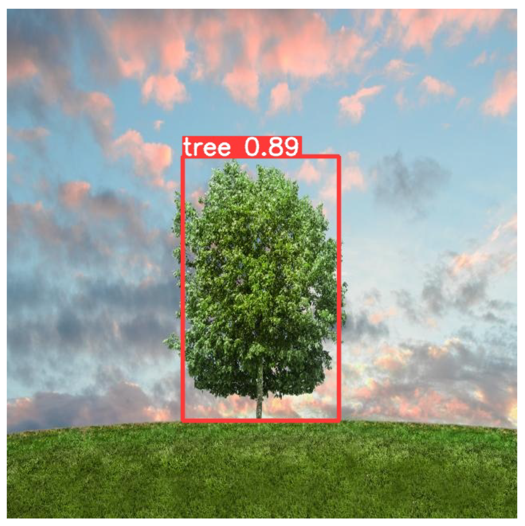 Effectiveness of YOLO Architectures in Tree Detection: Impact of ...