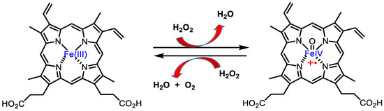 Stresses | Free Full-Text | Chemistry of Hydrogen Peroxide Formation ...