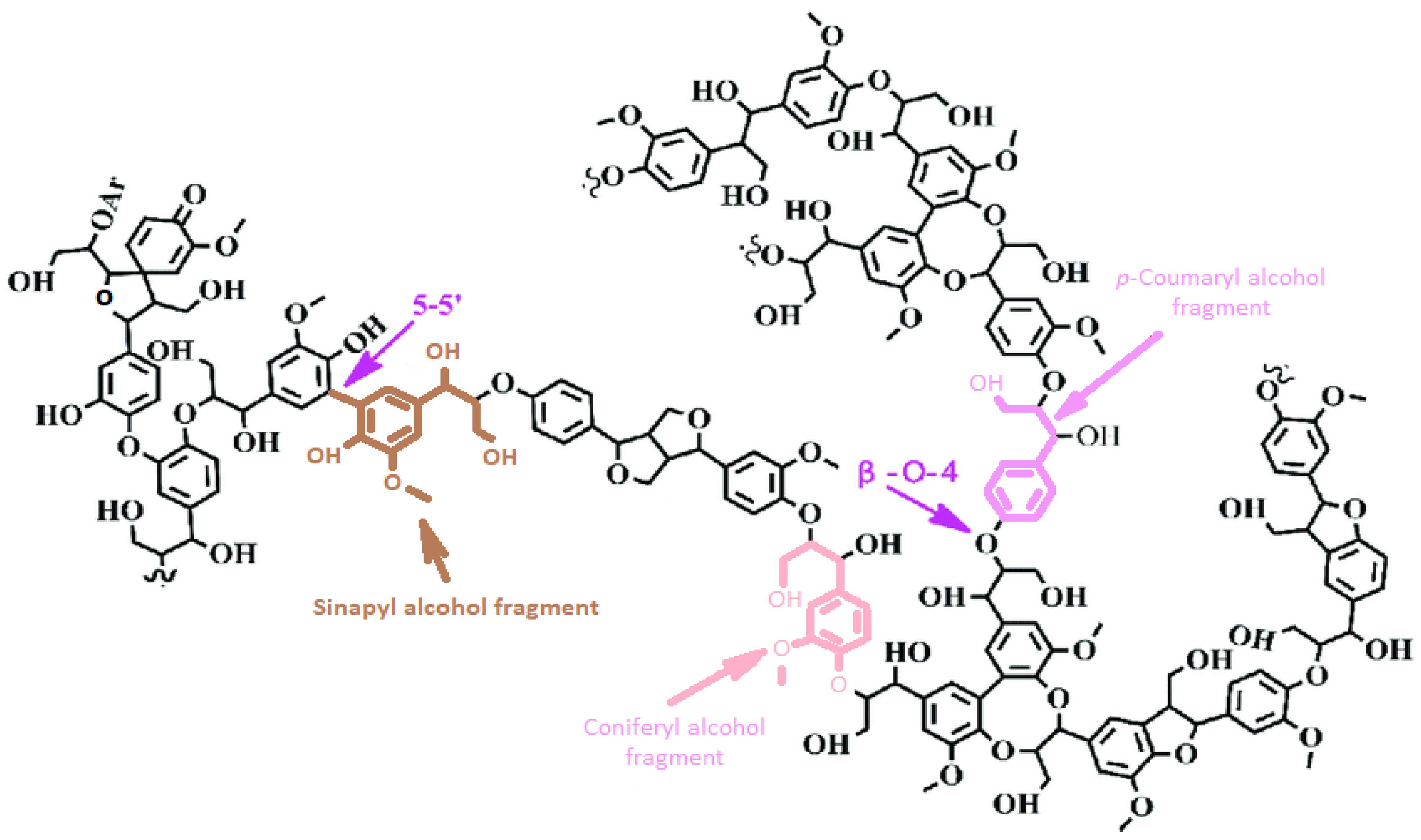 Lignin Structure Lignin Structure