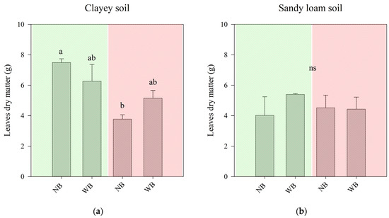 Stresses | Free Full-Text | Bioinput Inoculation in Common Beans to ...